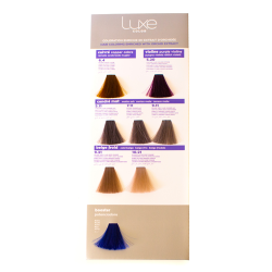 NUANCIER LUXE COLOR 79 MECHES - Luxe Color